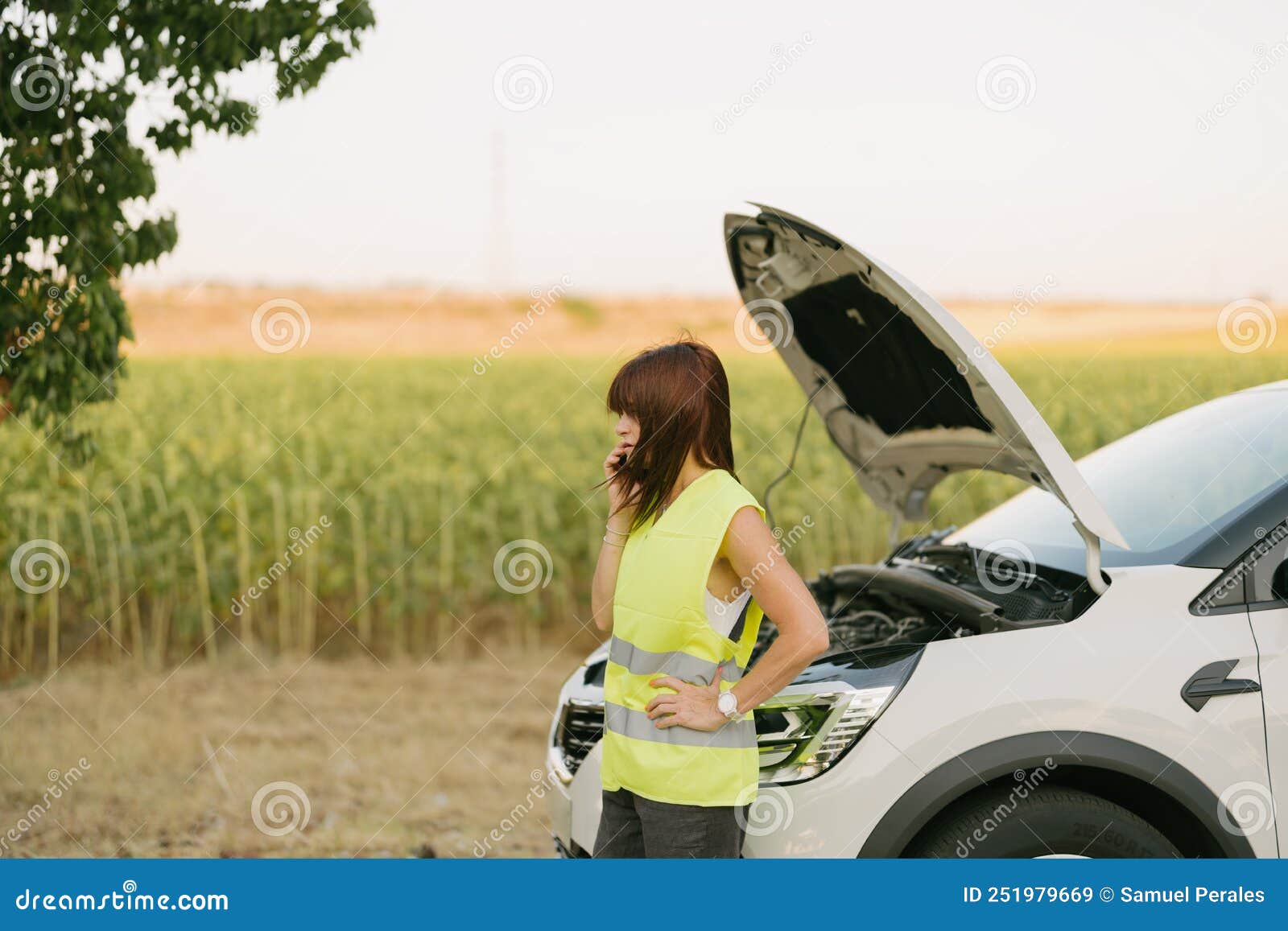Woman Calling the Towing Service for a Car Breakdown Stock Image ...