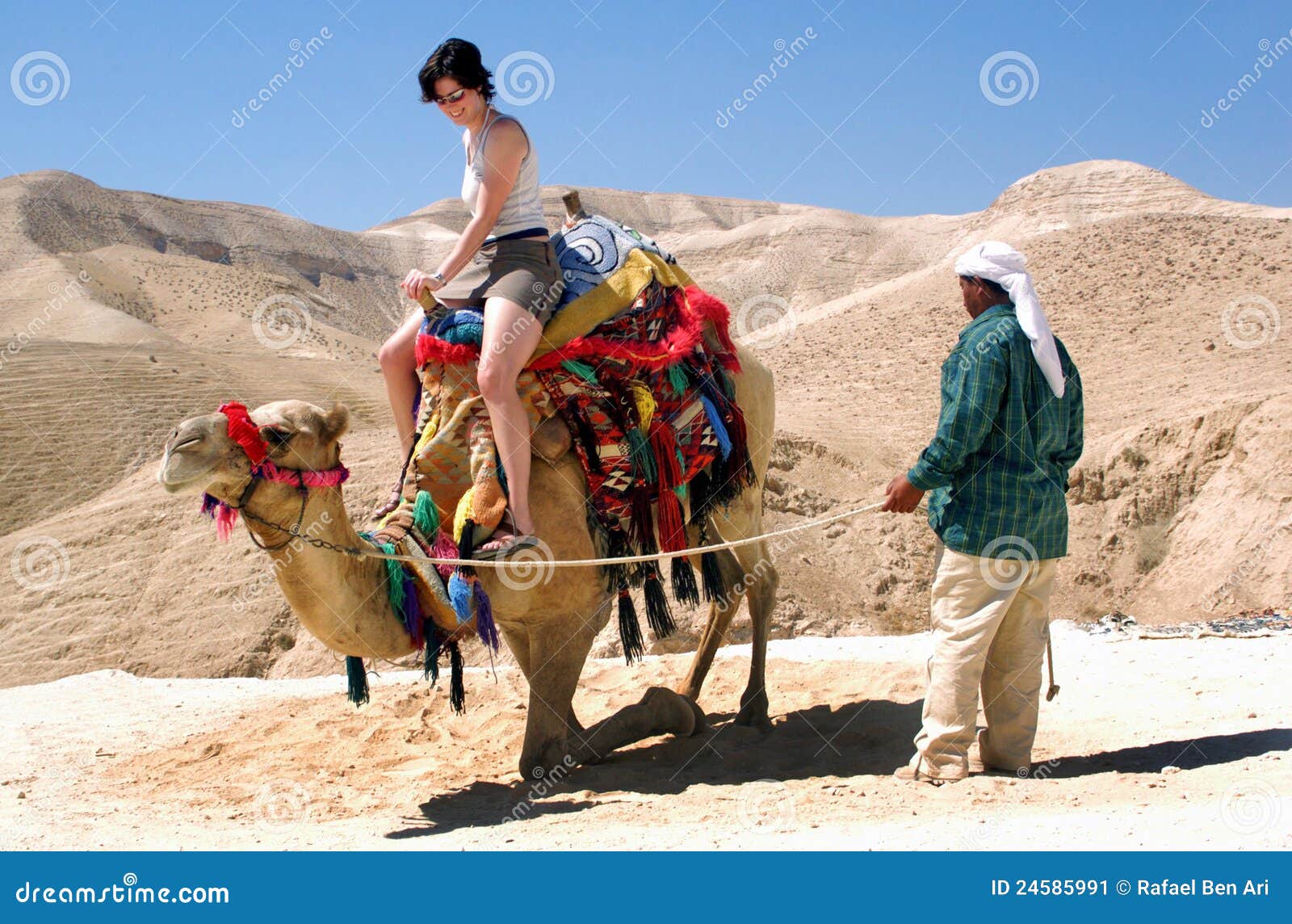 Camel In A Bedouin Settlement Wearing An Iron Muzzle Stock Photo ...