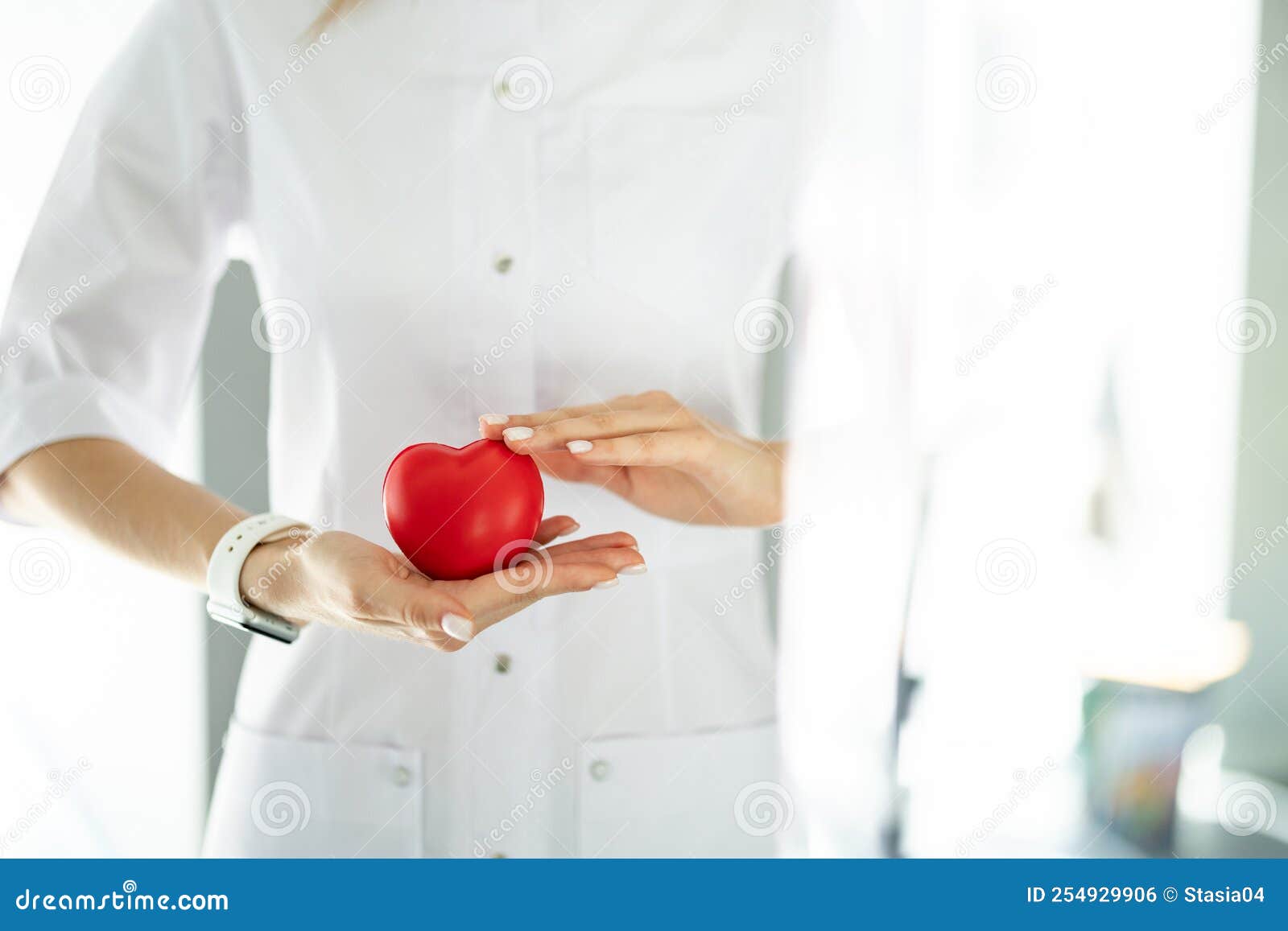 Woman Cardiologist Doctor Holds And Shows Heart Red Model In Clinic