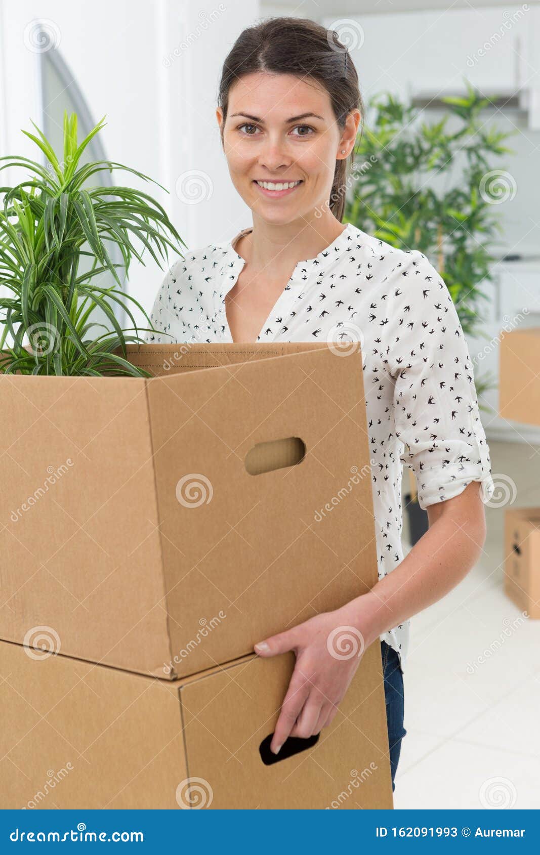 Woman Carrying Box and Potted Plant Stock Image - Image of achievement ...