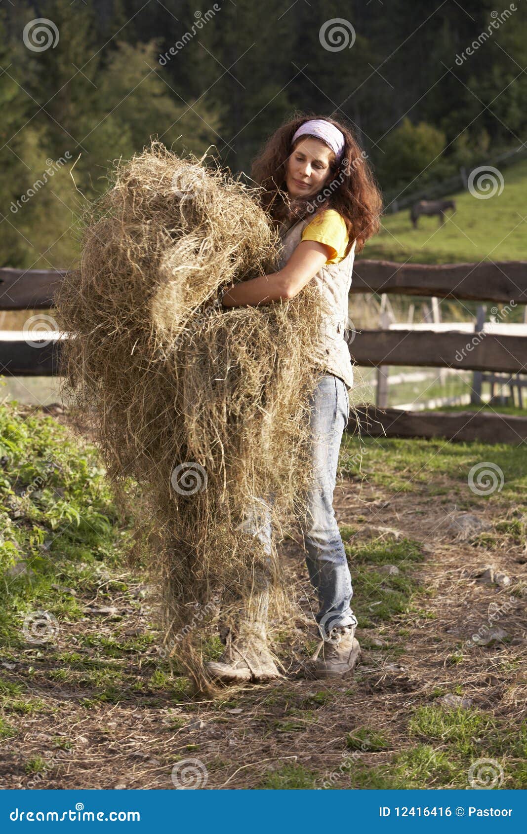 Woman carrying hay stock photo. Image of autumn, farm - 12416416