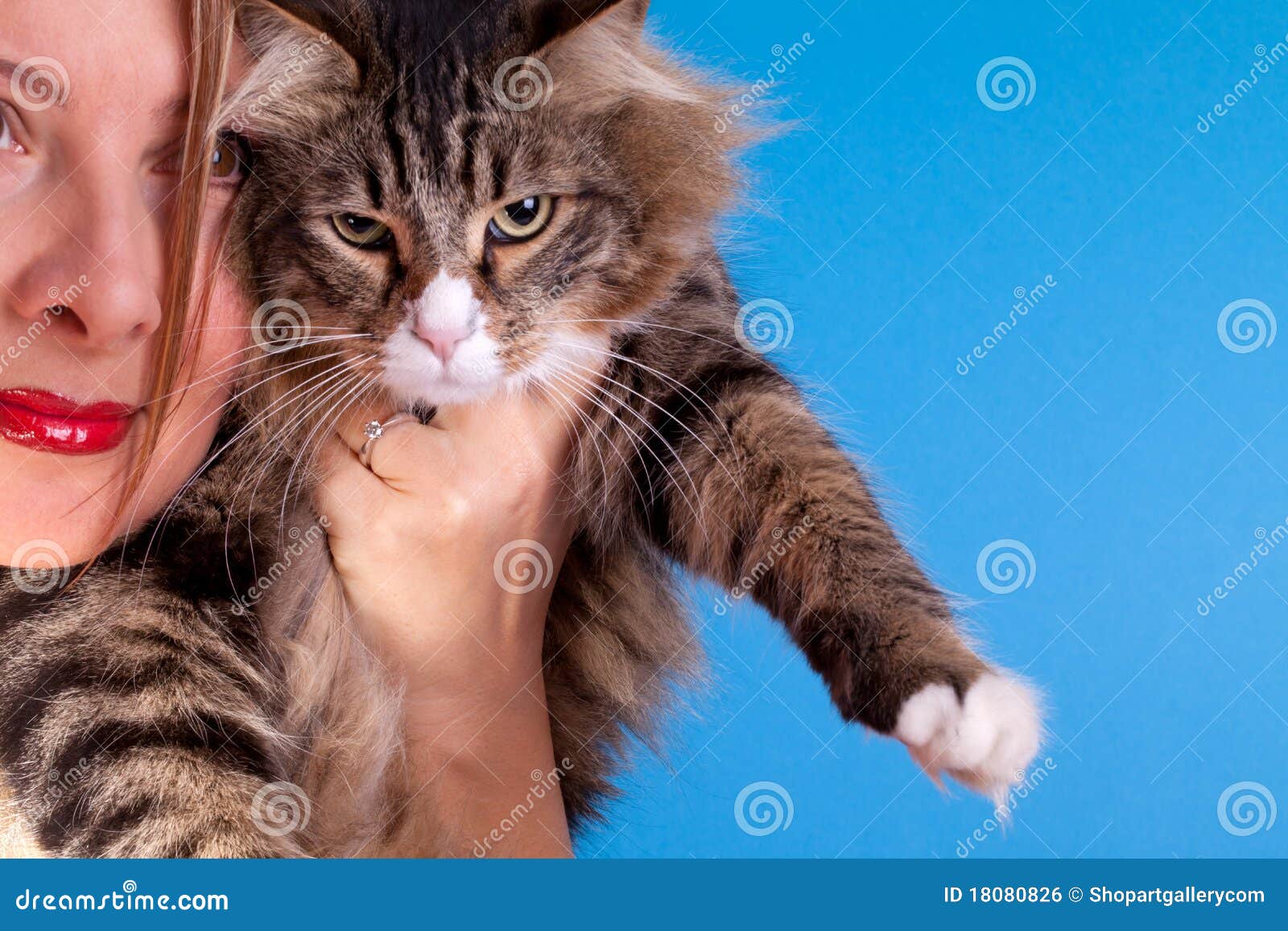 Woman with Cat stock photo. Image of girl, affection - 18080826