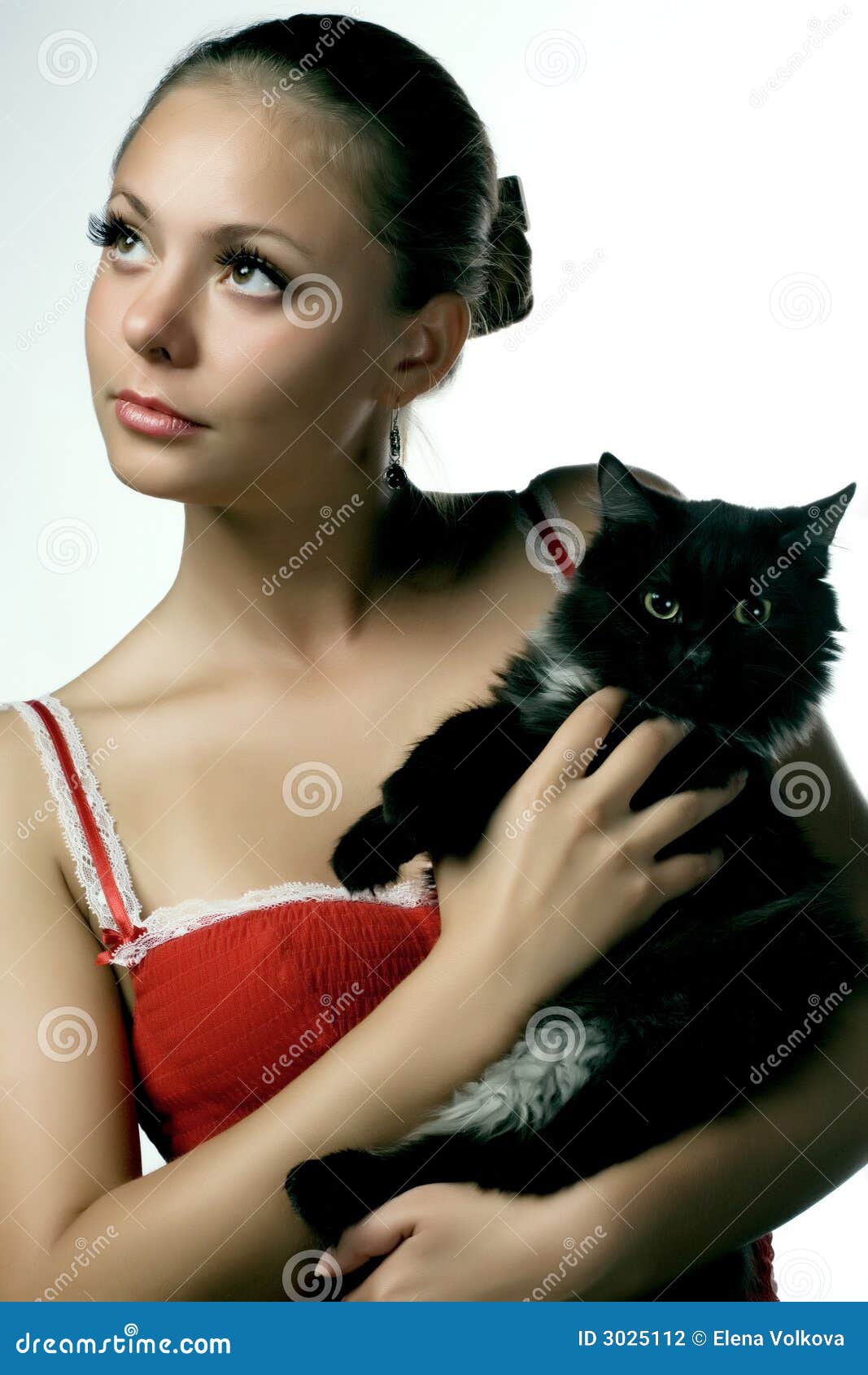 Woman with cat stock photo. Image of business, bling, brown - 3025112
