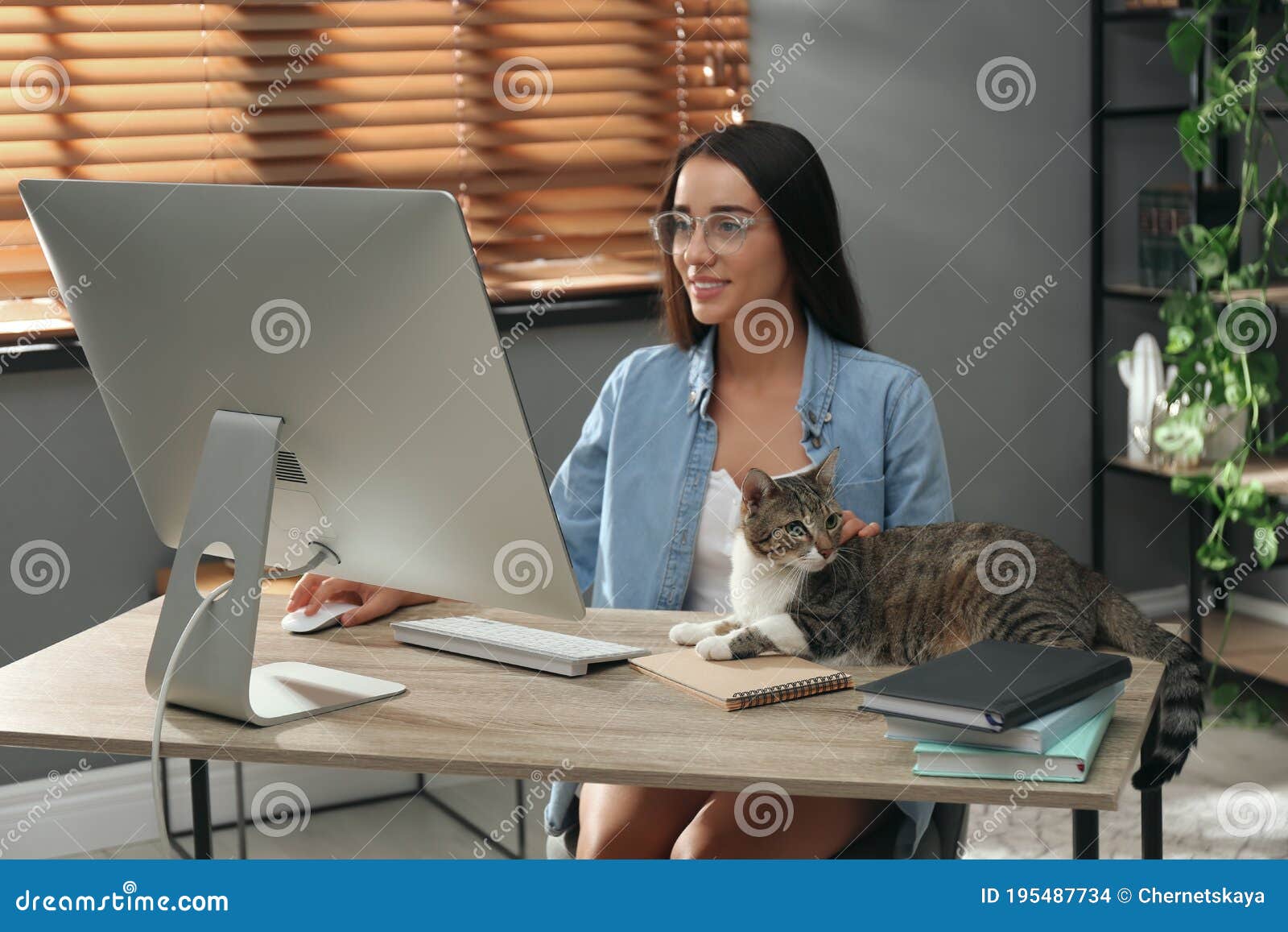 Woman with Cat Working on Computer at Table. Home Office Concept Stock ...