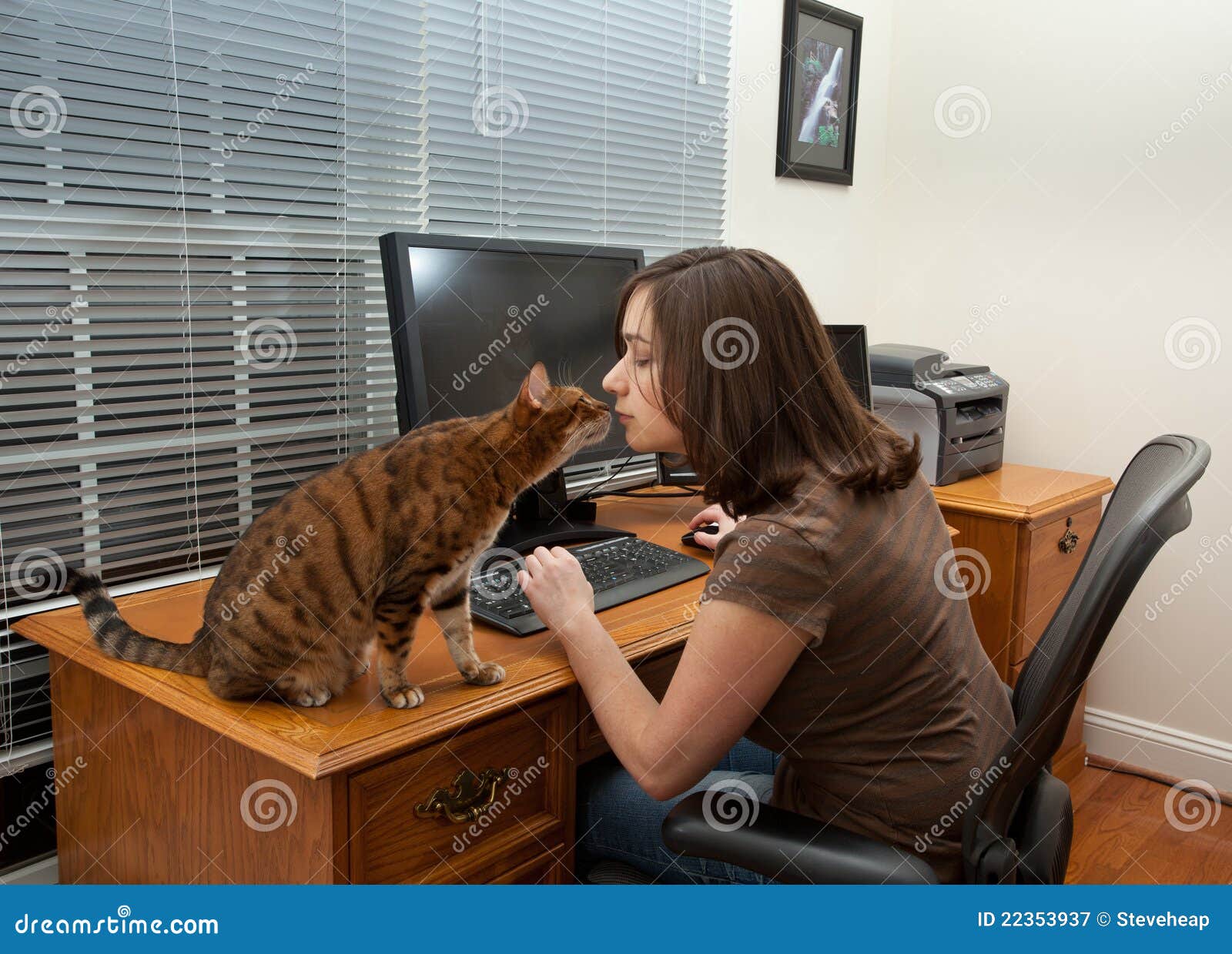 Woman and Cats at Computer Desk Stock Image - Image of woman, lady ...