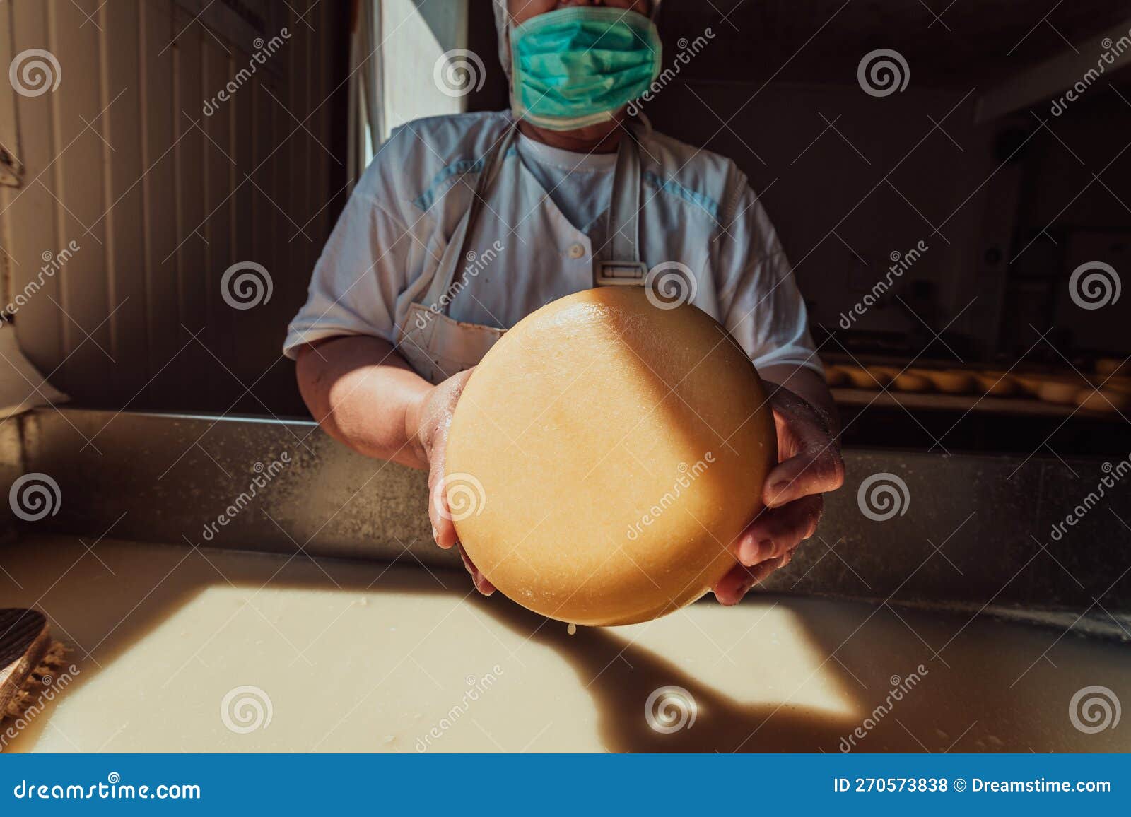 A Woman in the Cheese Industry. Woman Preparing Cheese for Further ...