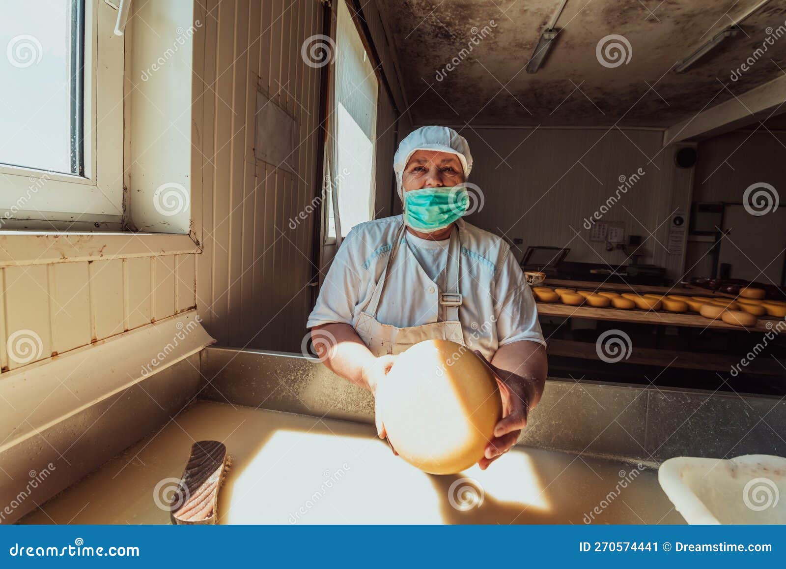 A Woman in the Cheese Industry. Woman Preparing Cheese for Further ...