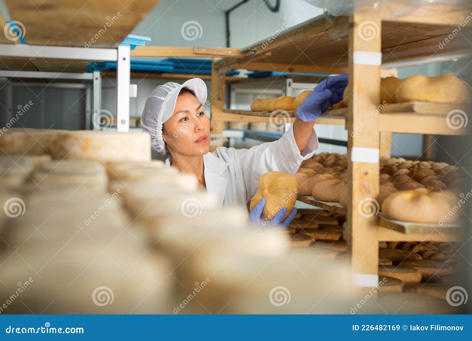 Woman Cheesemaker Checking Aging Process of Cheese in Maturing Chamber ...