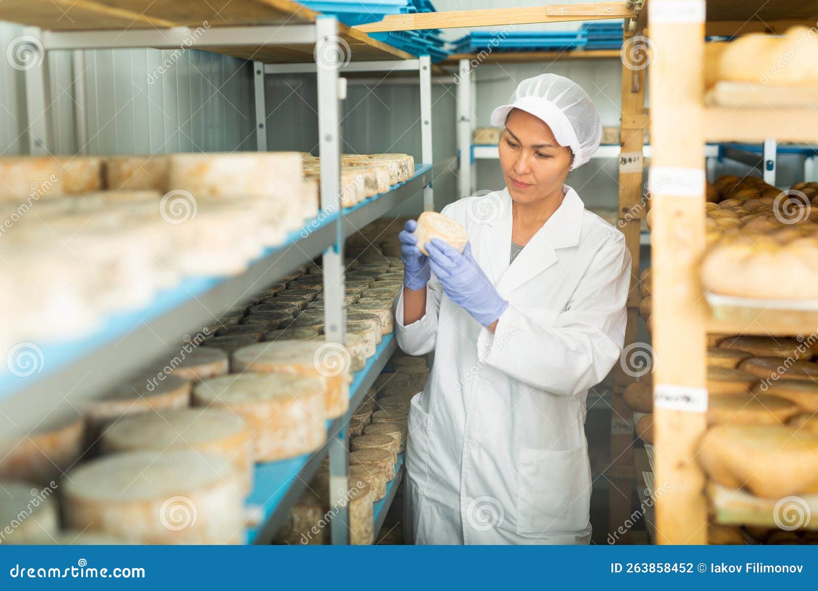Woman Cheesemaker Checking Aging Process of Cheese in Maturing Chamber ...