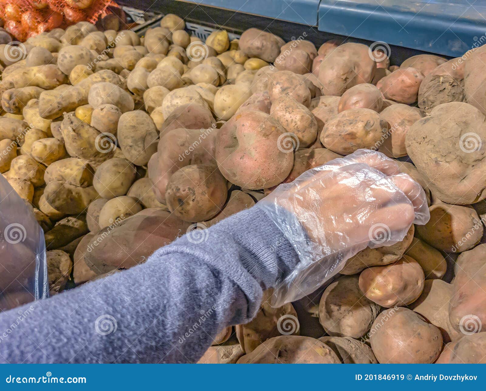 A Woman Chooses Potatoes on the Counter in the Store Stock Image ...