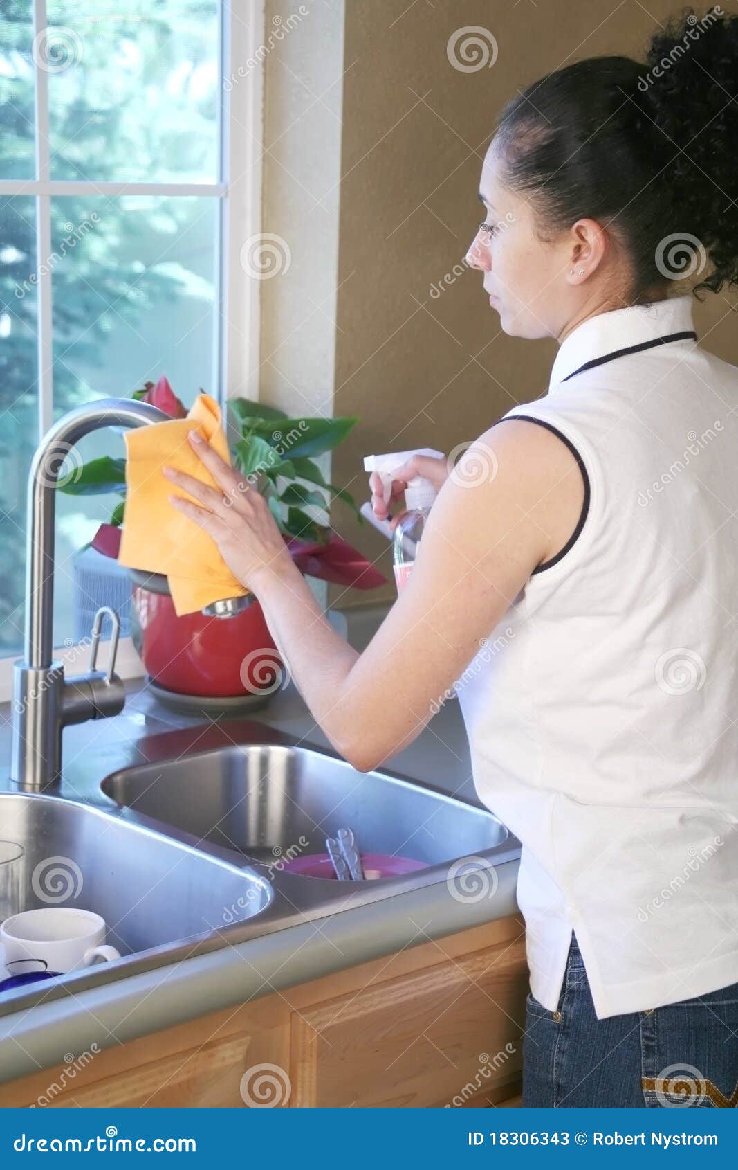 Woman cleaning in kitchen stock image. Image of bottle - 18306343