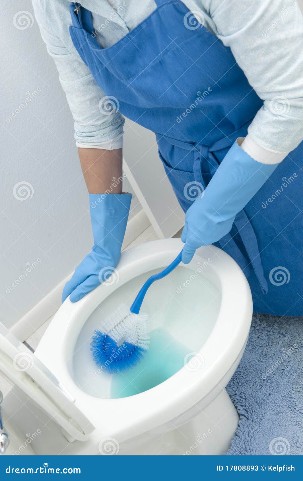 Woman cleaning toilet stock image. Image of protective - 17808893