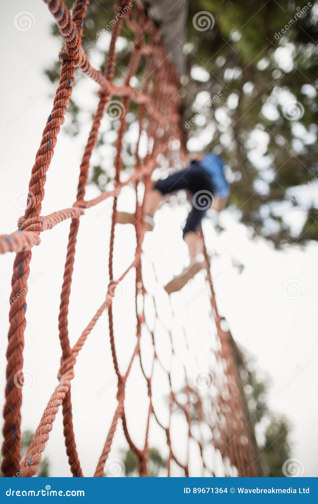 Woman Climbing a Net during Obstacle Course Stock Photo - Image of ...