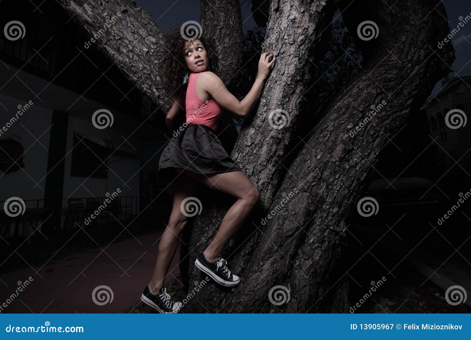 Woman climbing a tree stock image. Image of angle, fashion - 13905967