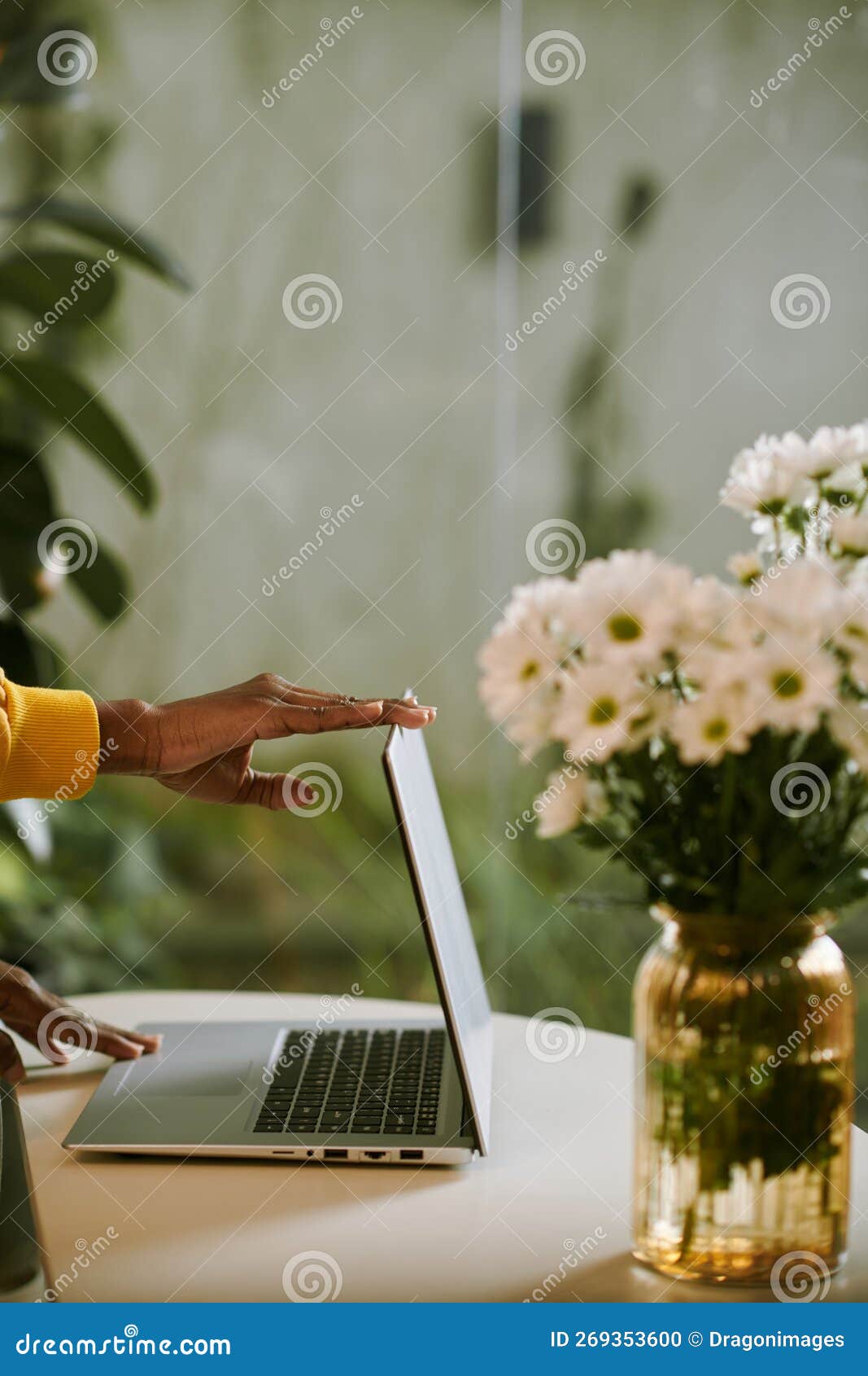Woman Closing Laptop stock photo. Image of laptop, computer - 269353600