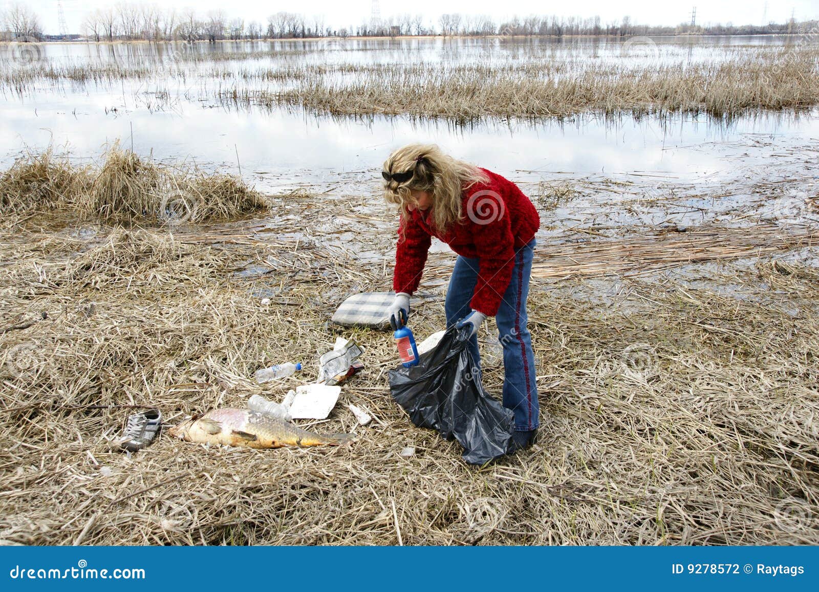 Woman Collecting Rubbish in Nature Stock Photo - Image of nature ...