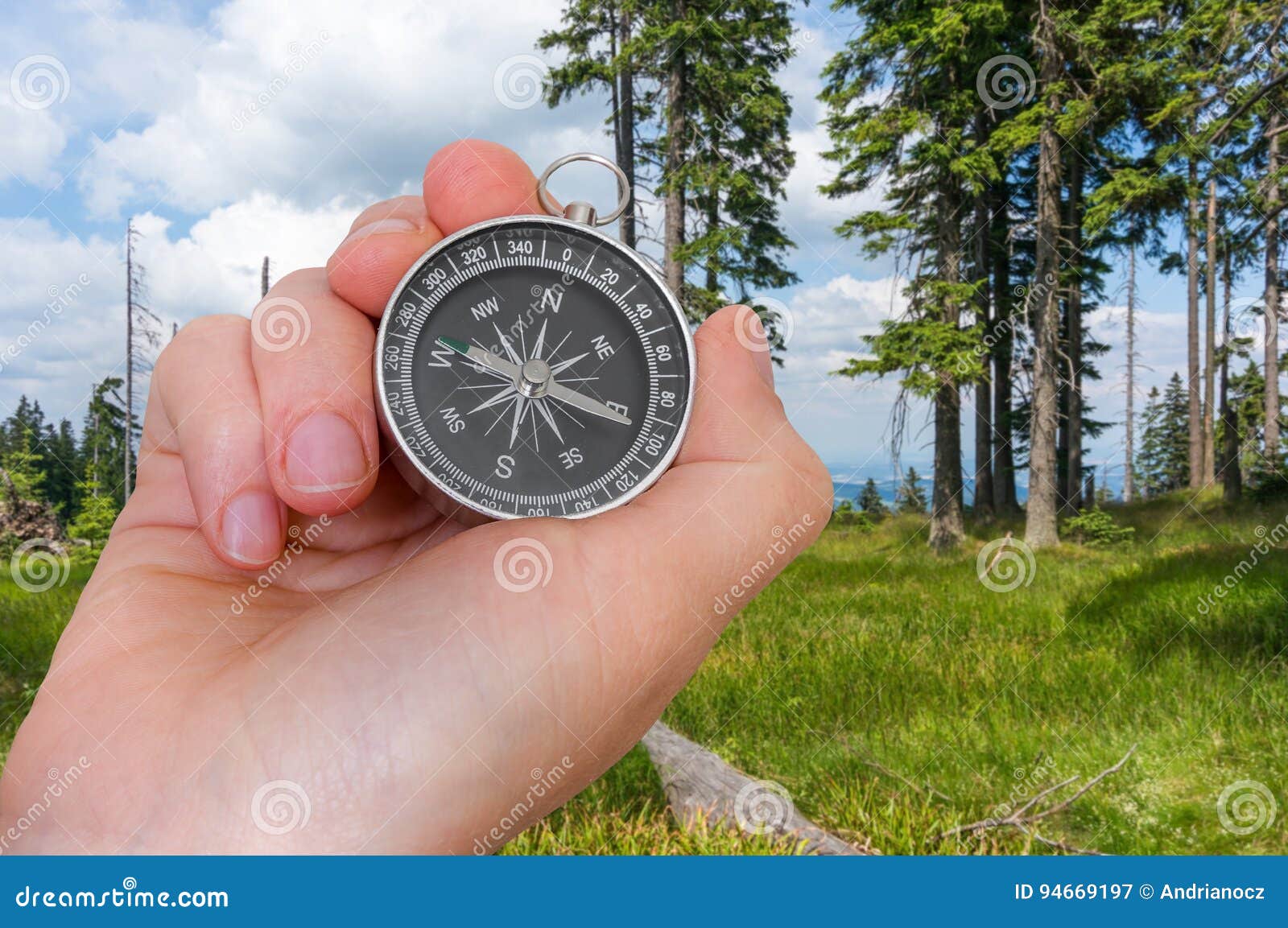 Woman with Compass is Seeking a Right Way in Forest Stock Image - Image ...