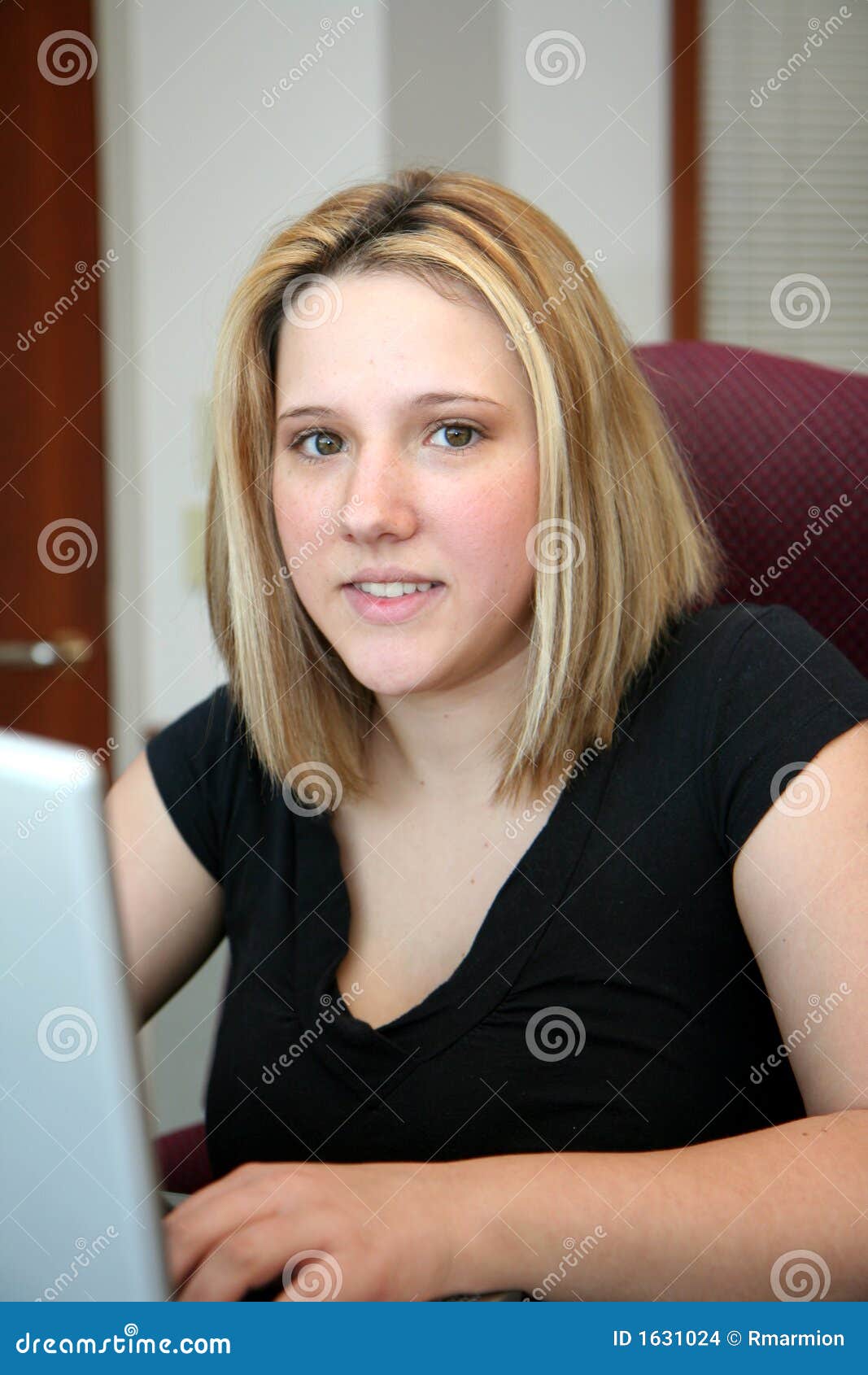 Woman on Computer stock photo. Image of internet, woman - 1631024