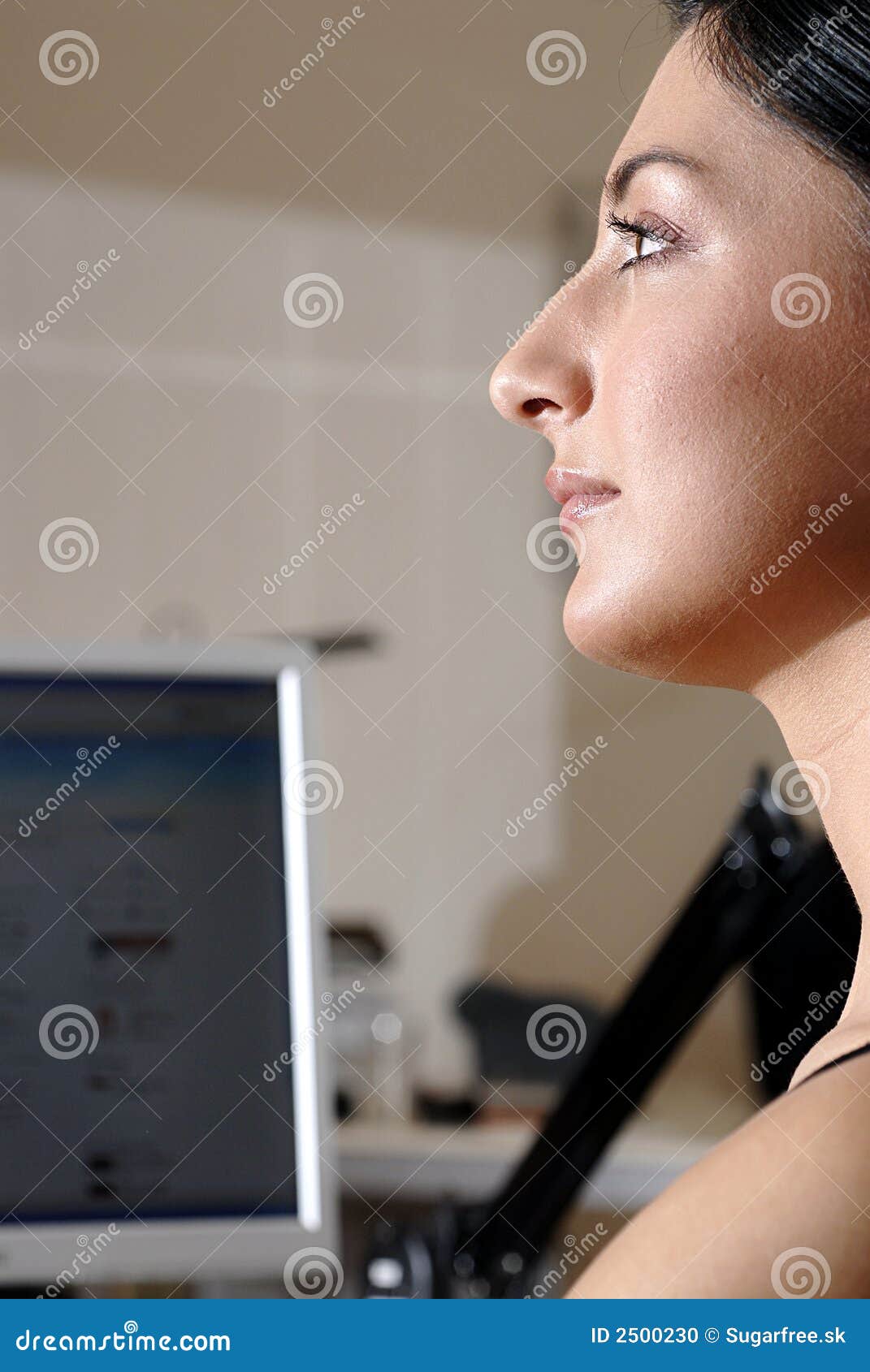 Woman at Computer stock photo. Image of computer, working - 2500230