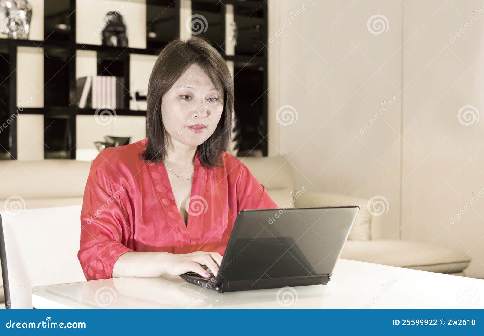 Woman and computer stock photo. Image of concentrated - 25599922