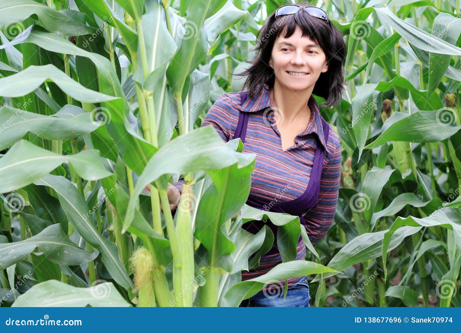 Woman in corn stock photo. Image of summer, female, happiness - 138677696