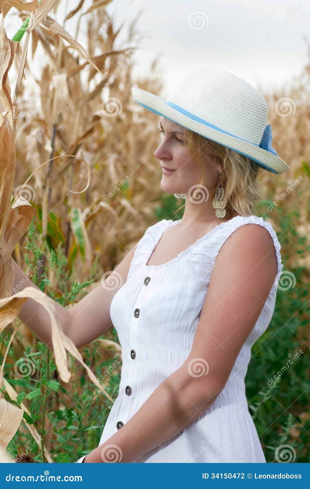Woman in corn field stock photo. Image of food, beauty - 34150472