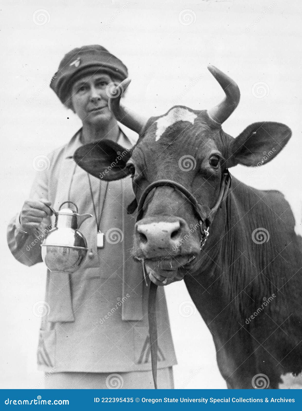 Woman And Cow Picture. Image: 222395435