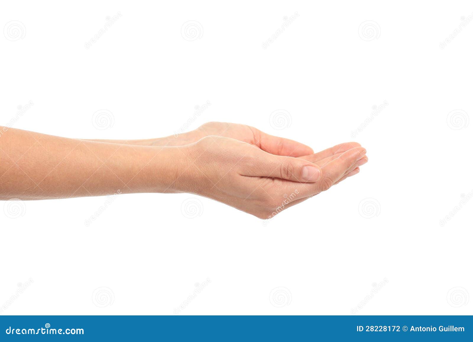 Cupped Hands Side View