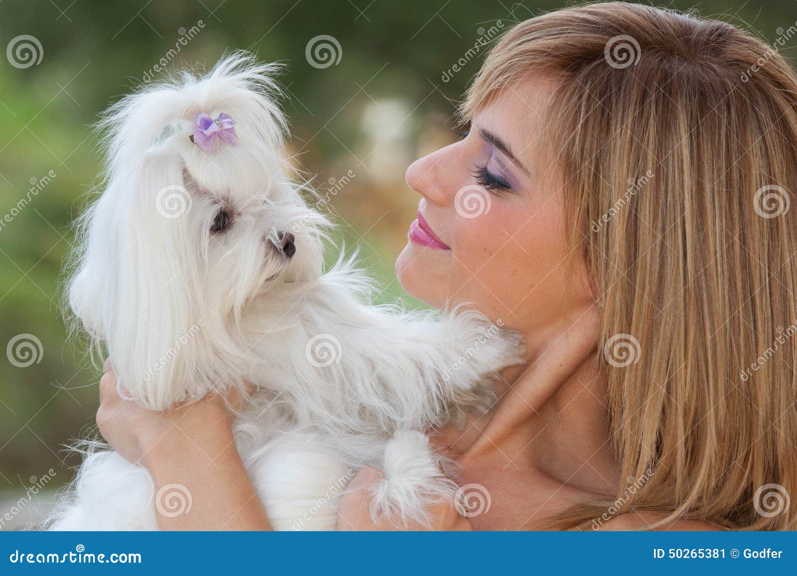 Woman with cute small dog stock image. Image of pedigree - 50265381