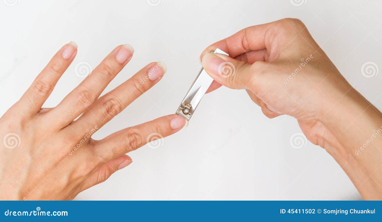 Woman cutting fingernail. stock photo. Image of manicure - 45411502