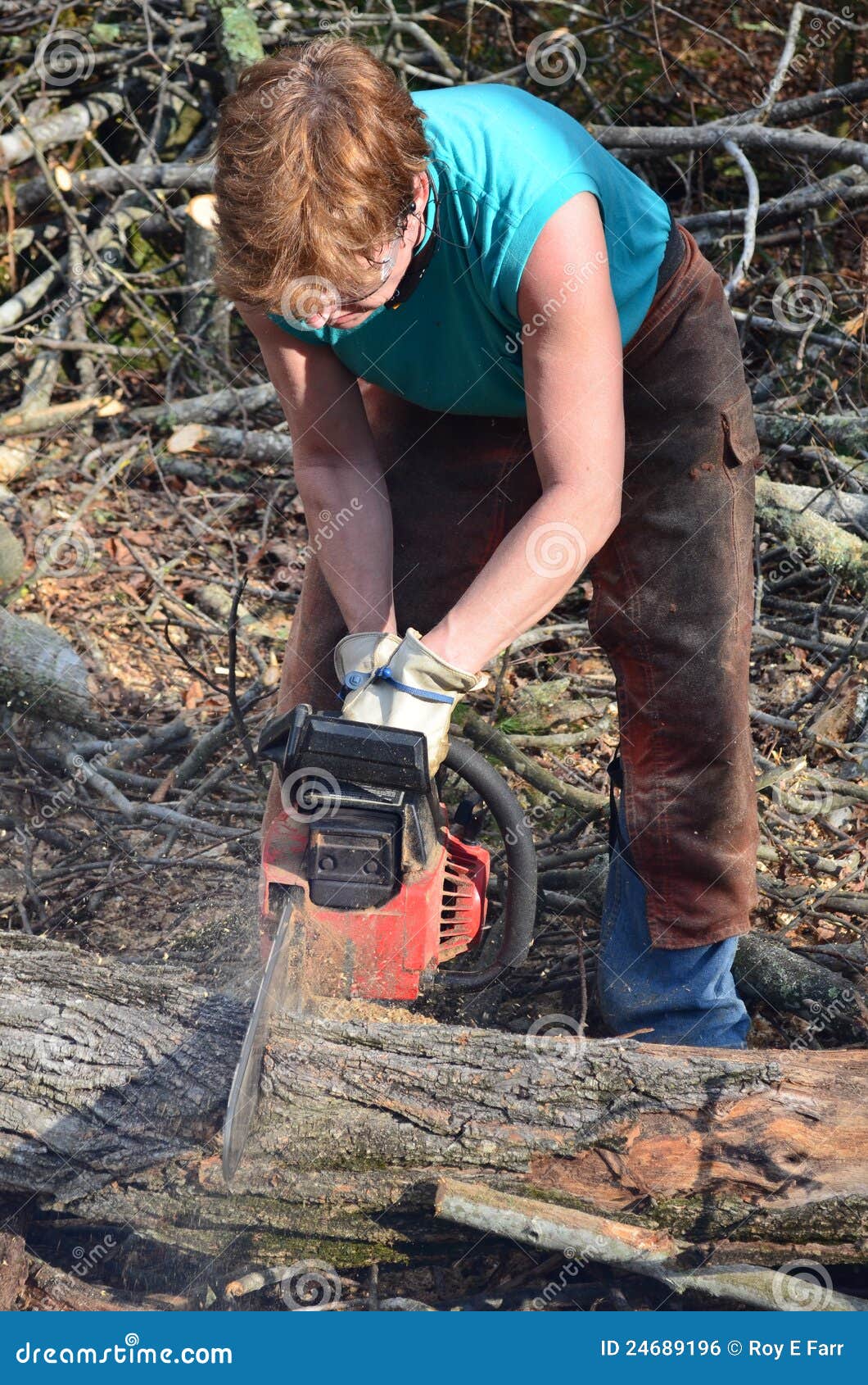 Woman Cutting Firewood stock photo. Image of woman, sustainable - 24689196