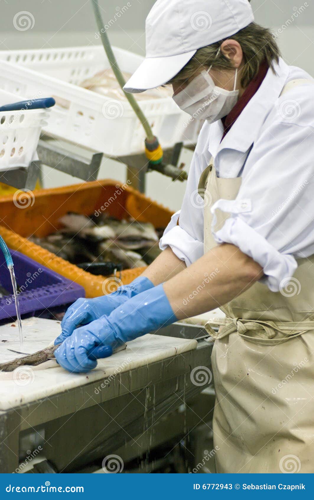Woman cutting fish fillets stock image. Image of mask - 6772943
