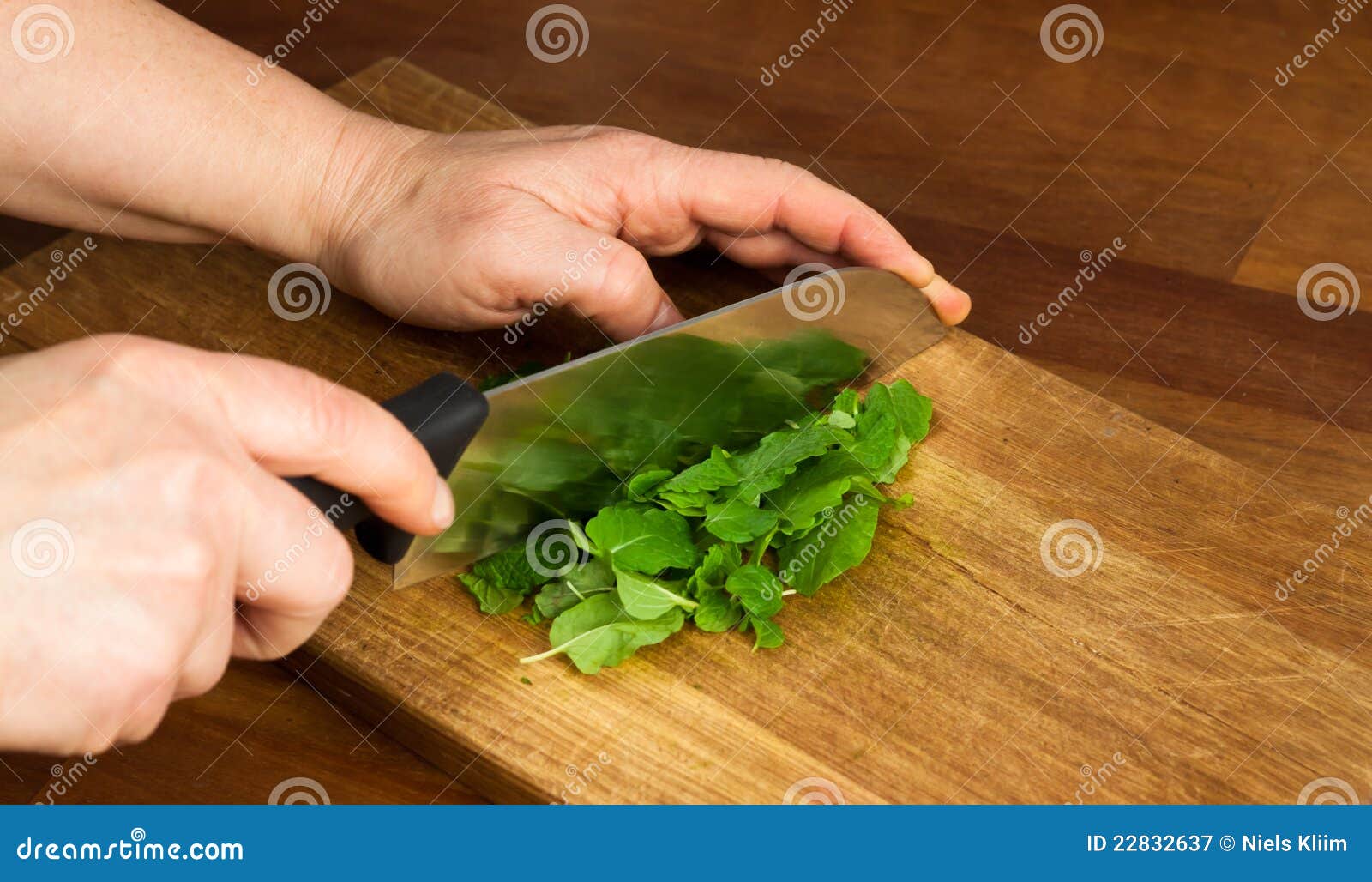 Woman cutting mint leaves stock image. Image of leave - 22832637