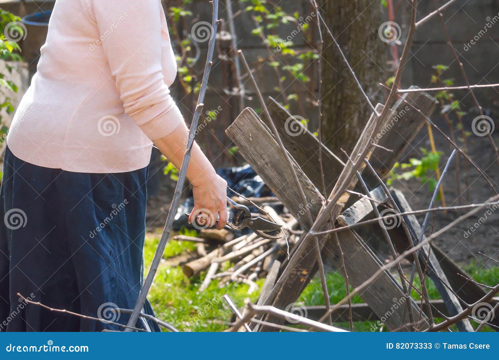 Woman Cutting Tree Branches in the Garden Stock Image - Image of nature ...