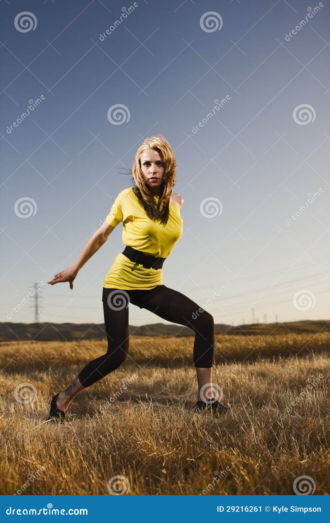 Woman in a Dance Pose in a Field of Grass Stock Image - Image of ...