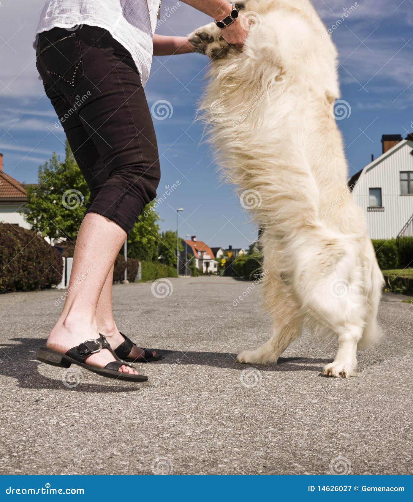 Woman dancing with a dog stock image. Image of healthy - 14626027