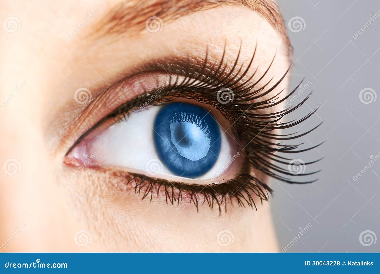 Female Blue Eye with False Lashes Stock Photo - Image of eyeball ...