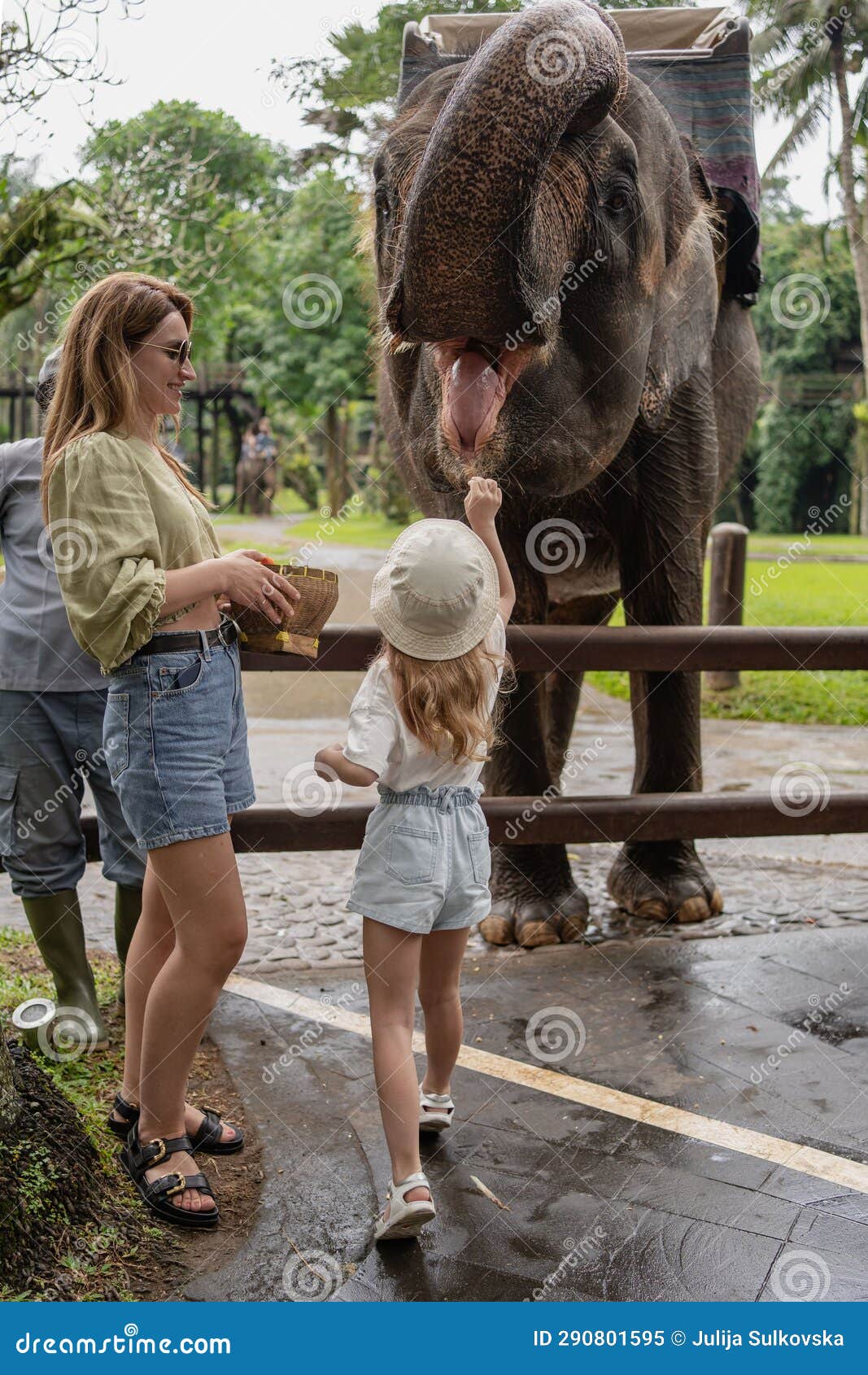 Woman with Daughter Feed the Elephant in the Tropics. Stock Image ... Woman with Daughter Feed the Elephant in the Tropics. Stock Image ...