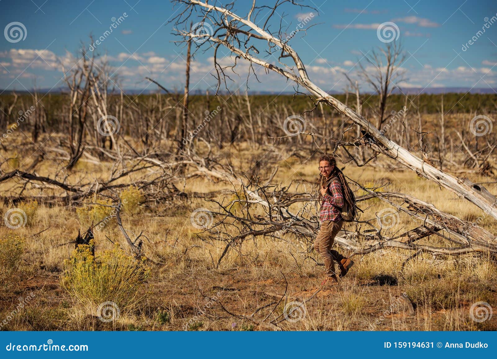 Woman in dead tree forest stock image. Image of fear - 159194631