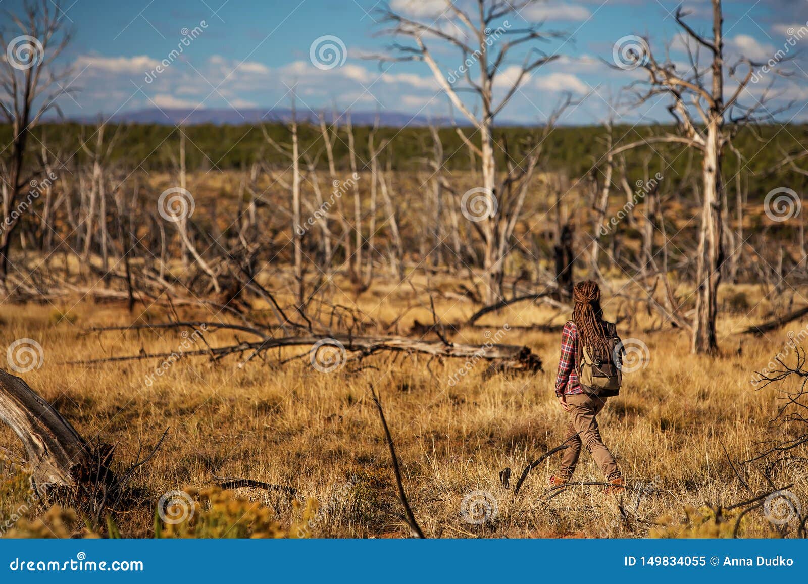 Woman in dead tree forest stock image. Image of deforestation - 149834055