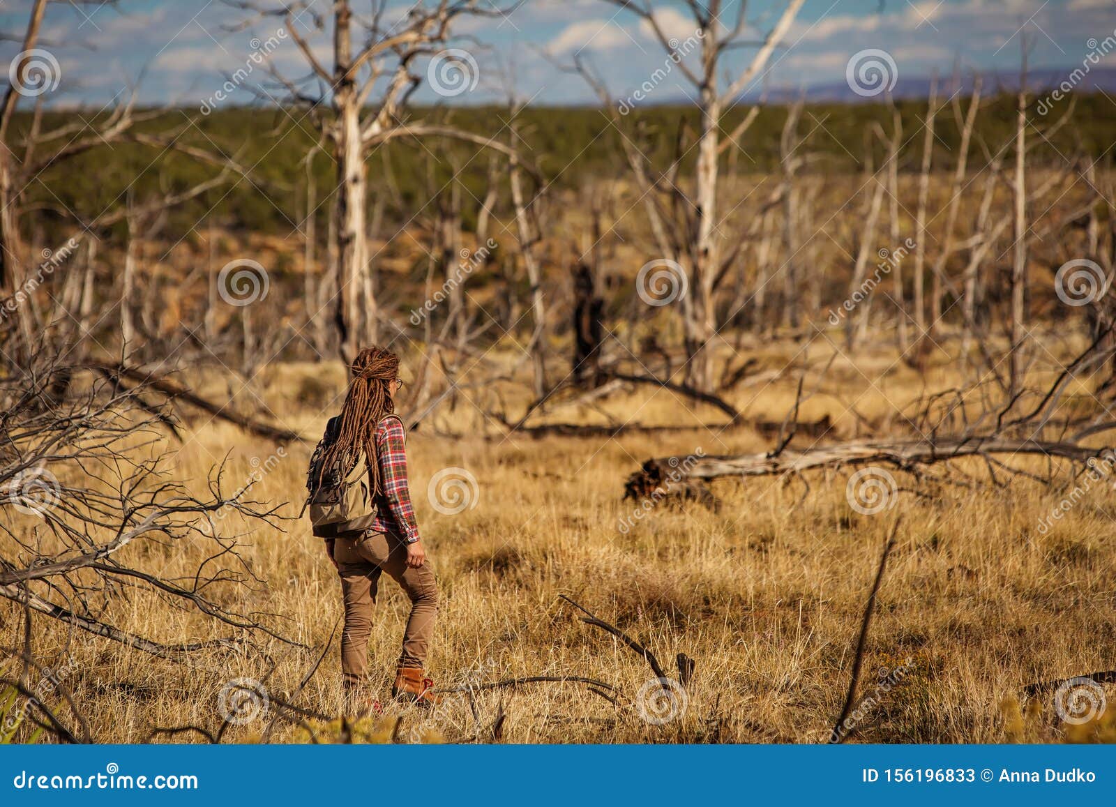 Woman in dead tree forest stock image. Image of death - 156196833