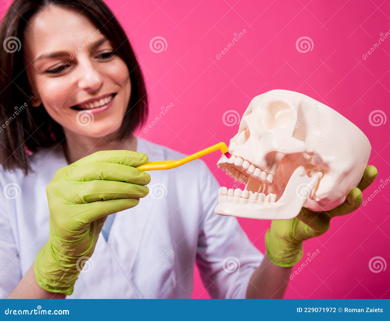 Woman Dentist Brushing Teeth of an Artificial Skull Using a Single ...