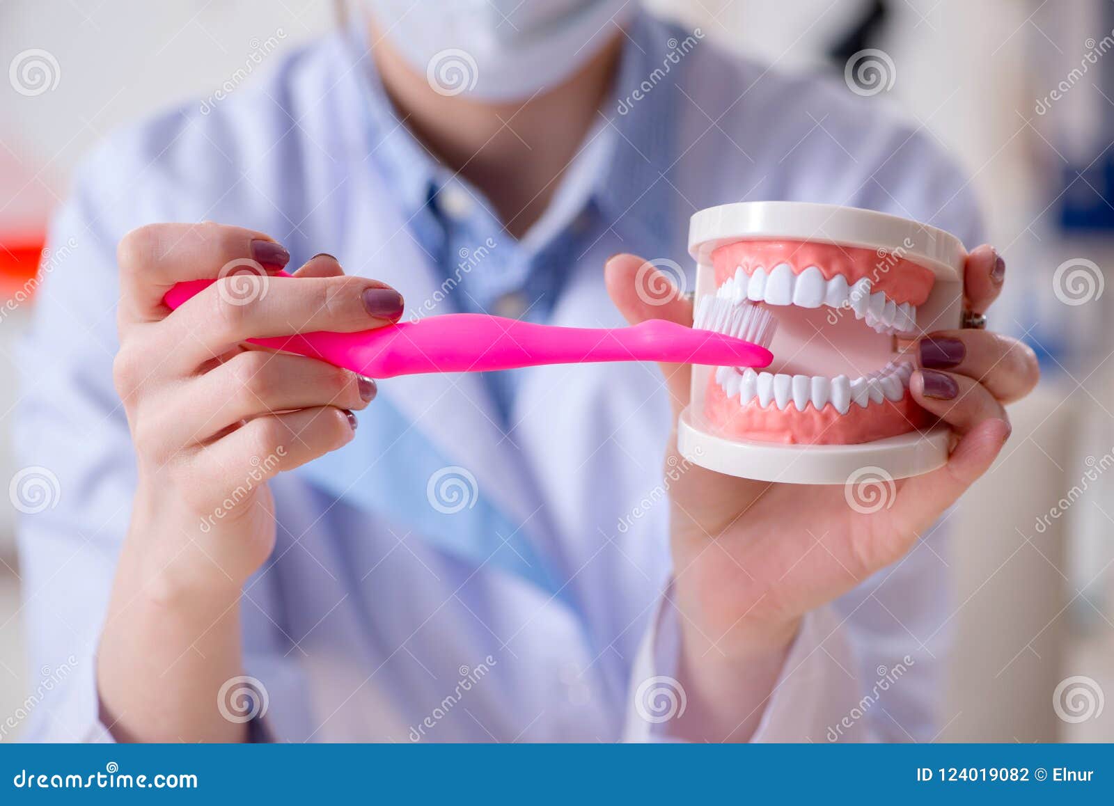 The Woman Dentist Practicing Work on Tooth Model Stock Photo - Image of ...