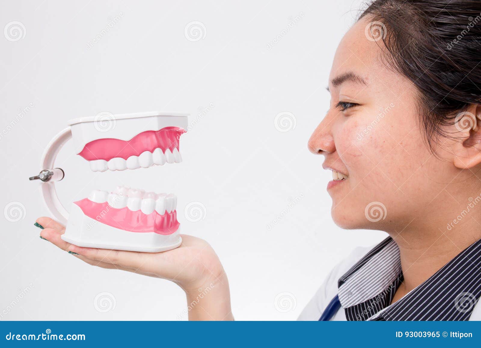 Woman Dentist Smiling while Holding Teeth Model Stock Image - Image of ...
