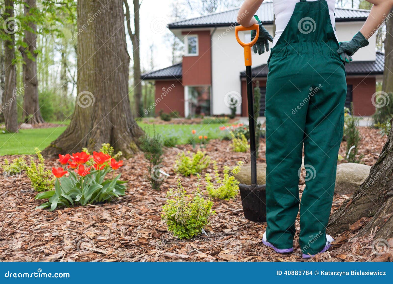 Woman digging flowerbeds stock photo. Image of gardening - 40883784