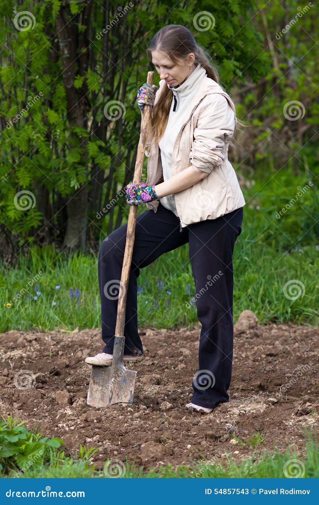 Woman Digging In The Garden Stock Photo - Image: 54857543