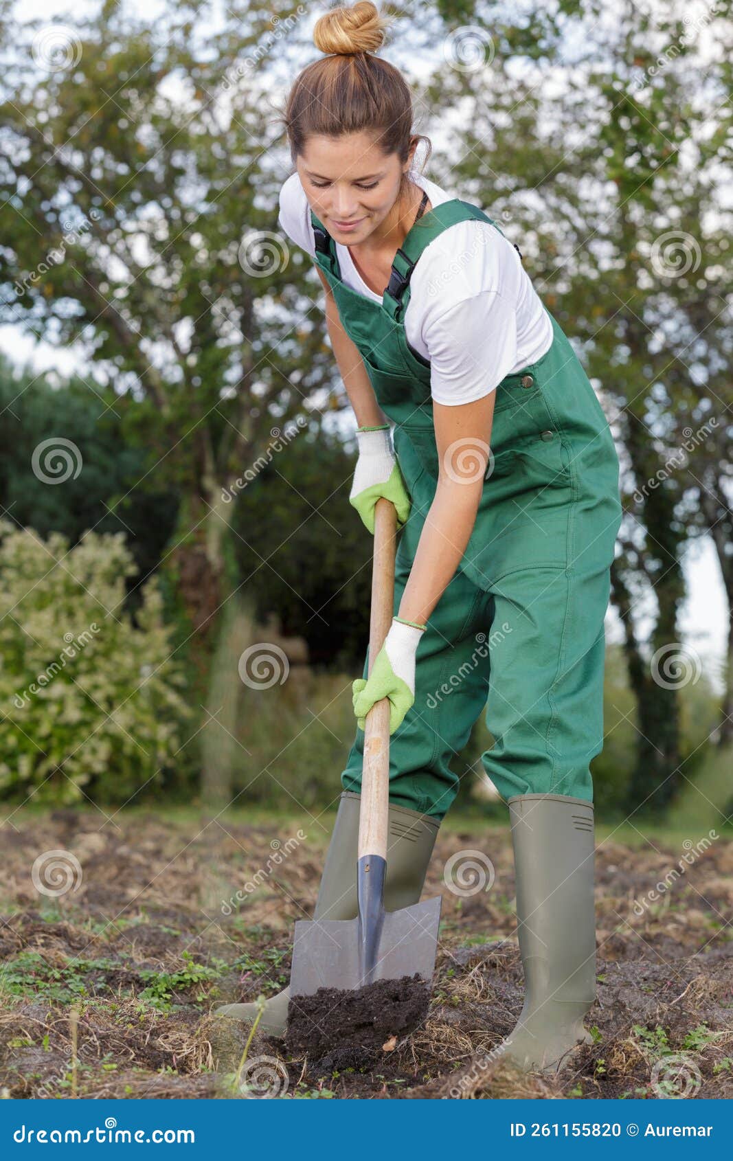 Woman digging the ground stock photo. Image of gardenbed - 261155820