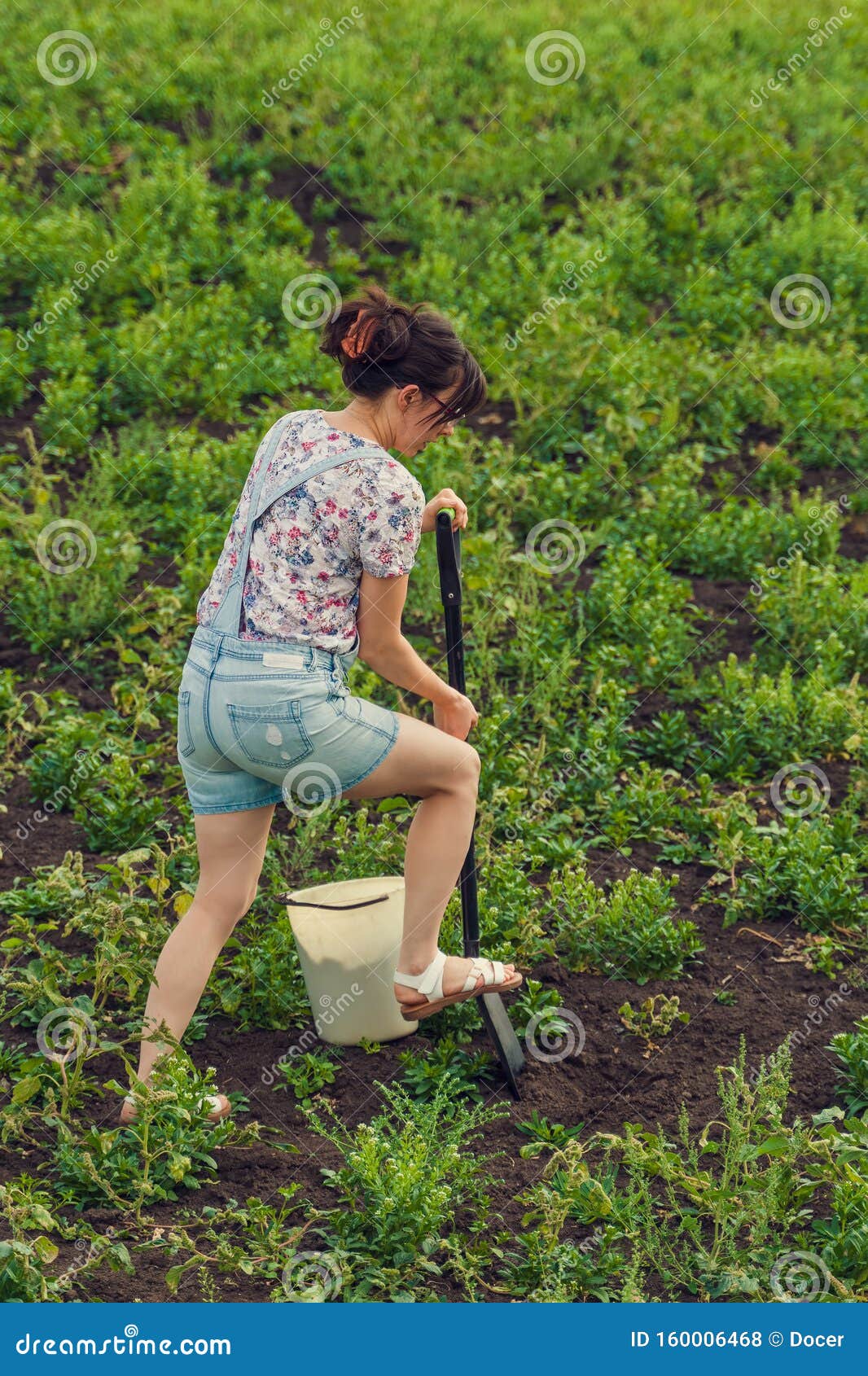 Woman Digging a Shovel in Field Stock Photo - Image of hold, farmer ...