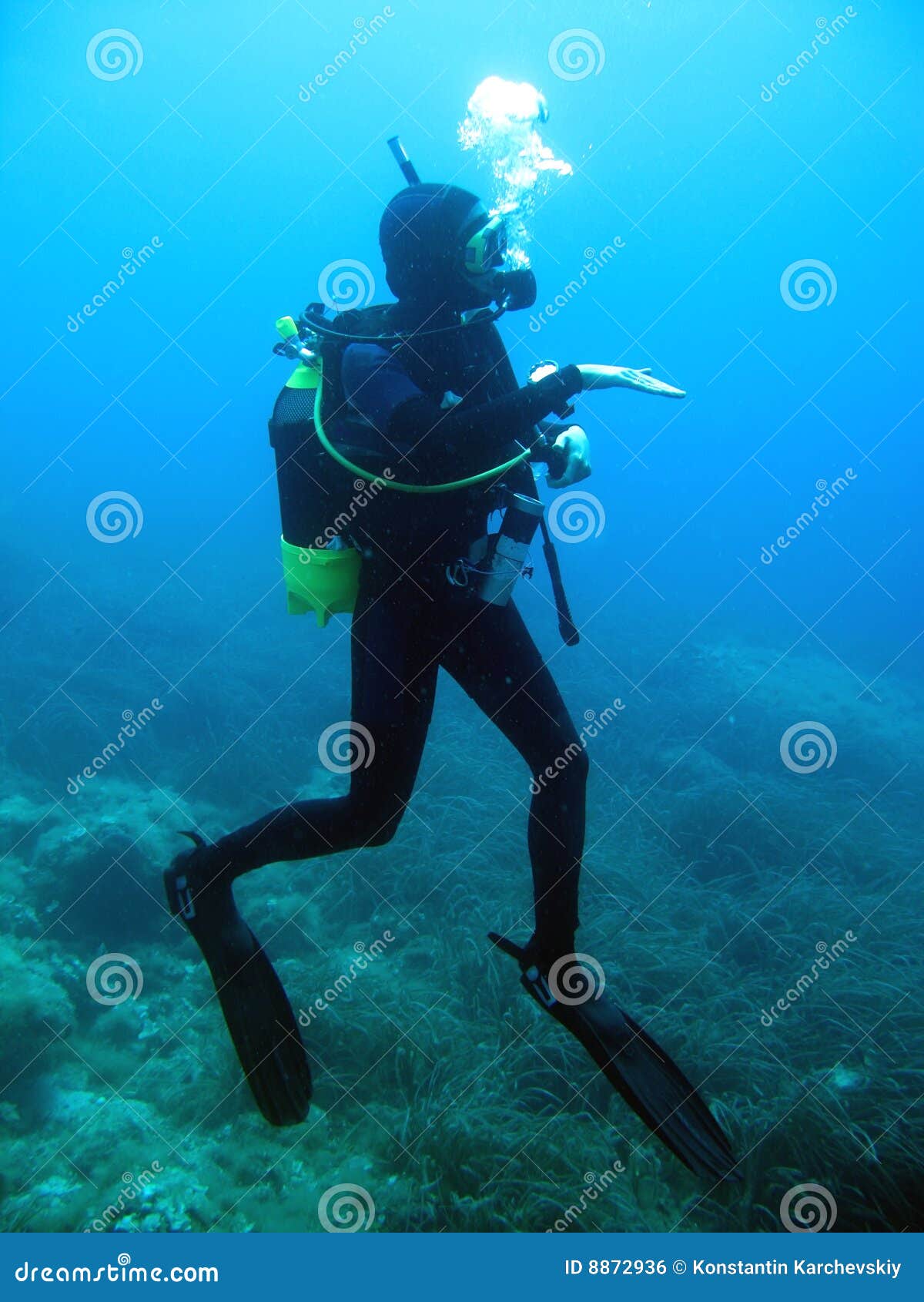Woman diver stock photo. Image of activity, pressure, color - 8872936