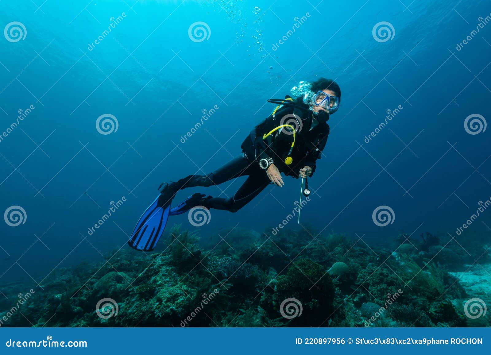 Woman diver stock photo. Image of large, diver, adventure - 220897956